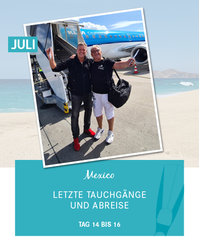 CAMP DAVID & SOCCX | Tauchen letzter Teil